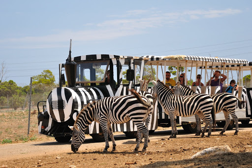 Safari Zoo (Maiorca): prezzi biglietti, orari e come arrivare - I ...
