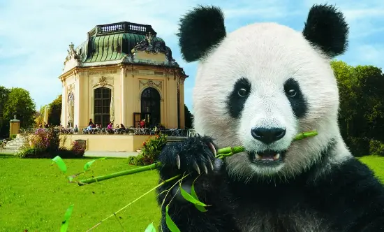 Parco Zoologico di Vienna: costo biglietto, orari, come arrivare e cosa ...